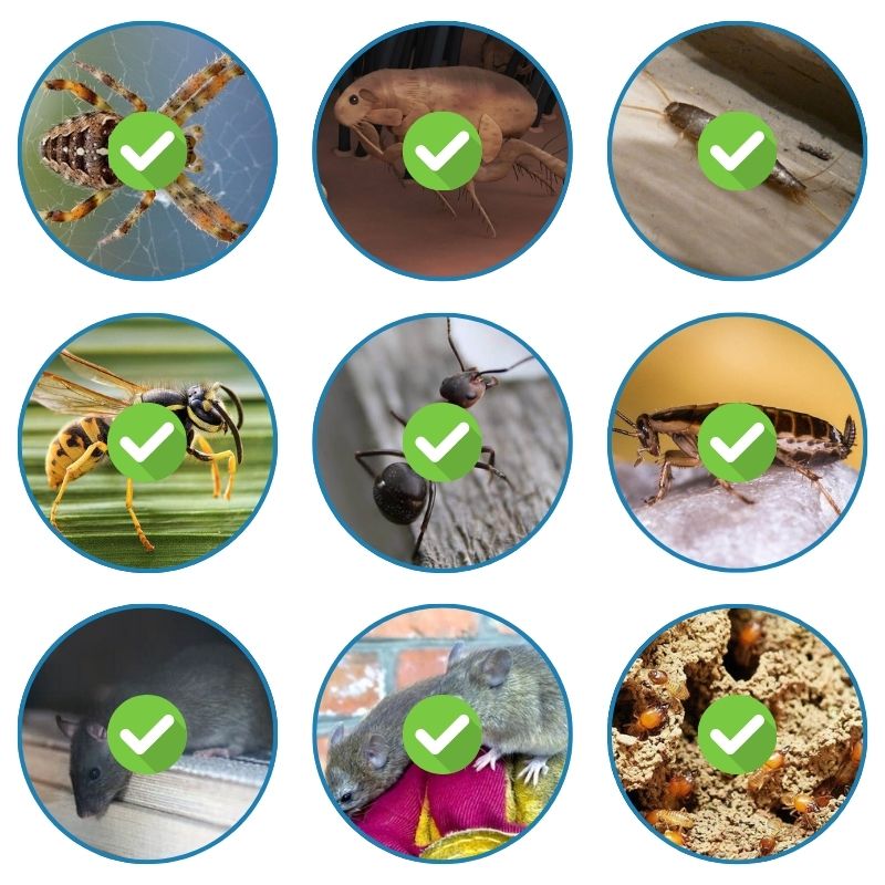 Reliance Pest Control | Pest Control Brisbane